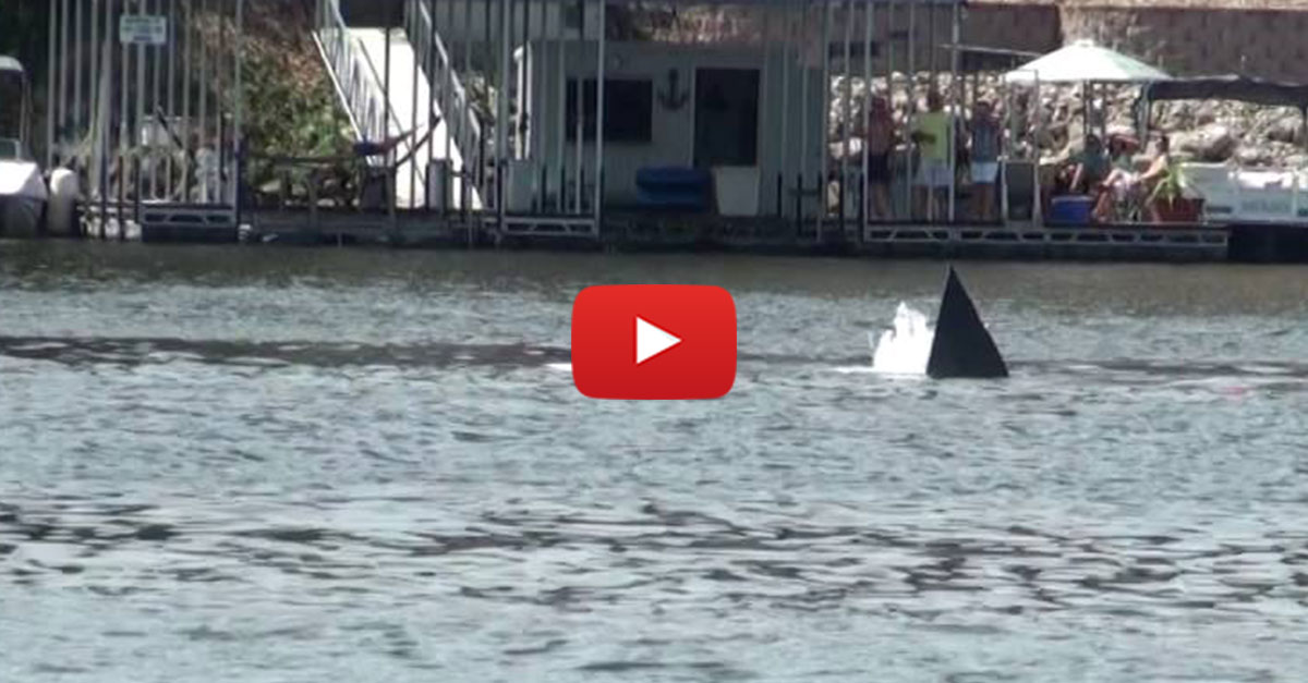 This High Speed Boat Crash Is Terrifying - alt_driver